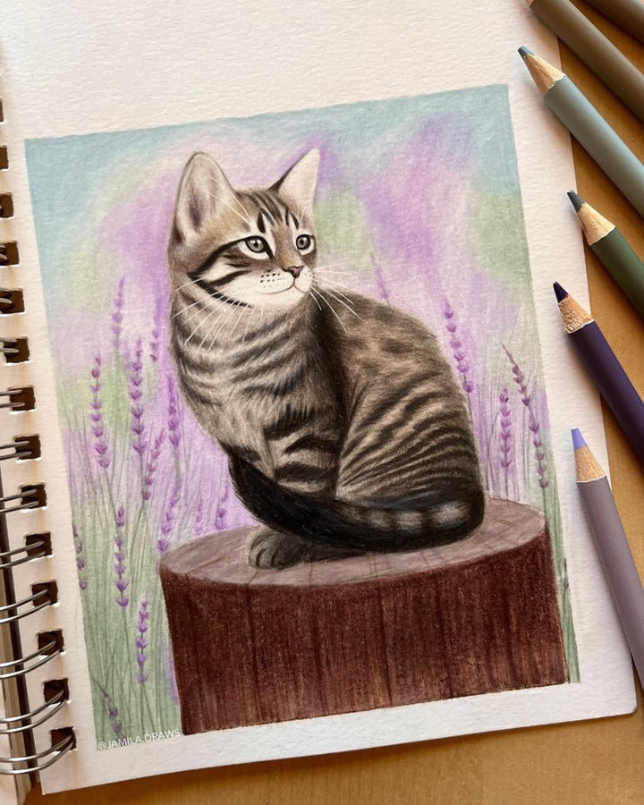 Castle Club | Castle Arts